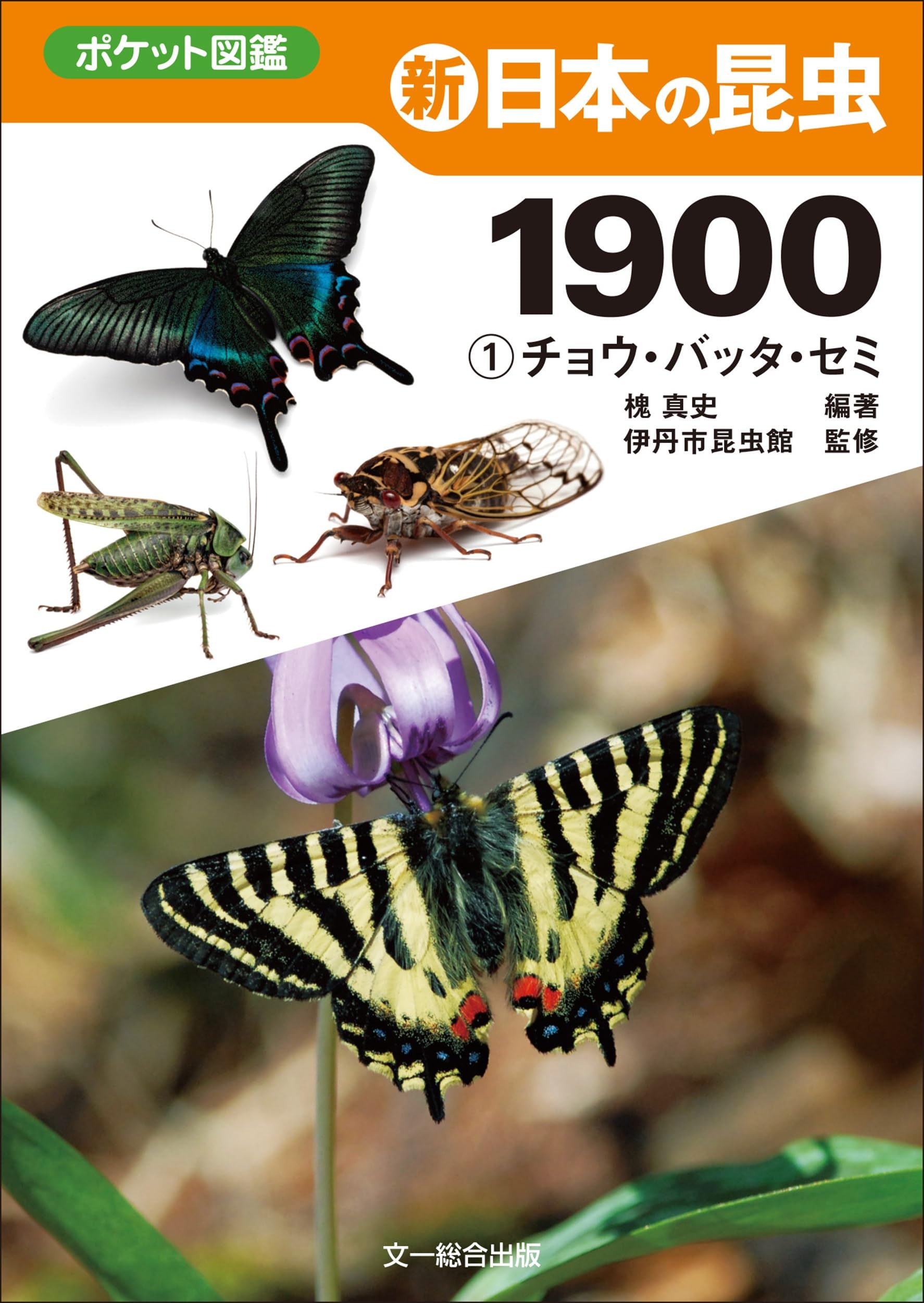 新 日本の昆虫1900(1)チョウ・バッタ・セミ (ポケット図鑑) | 槐 真史, 槐 真史, 伊丹市昆虫館 |本 | 通販 | Amazon