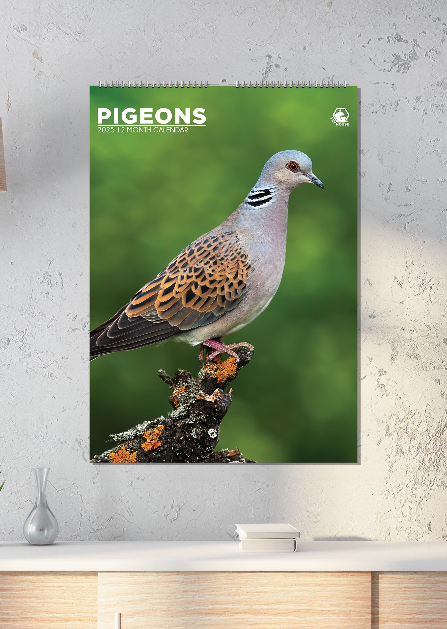 Pigeons 2025 – A3 Size Wirobound Calendar – BigaMart