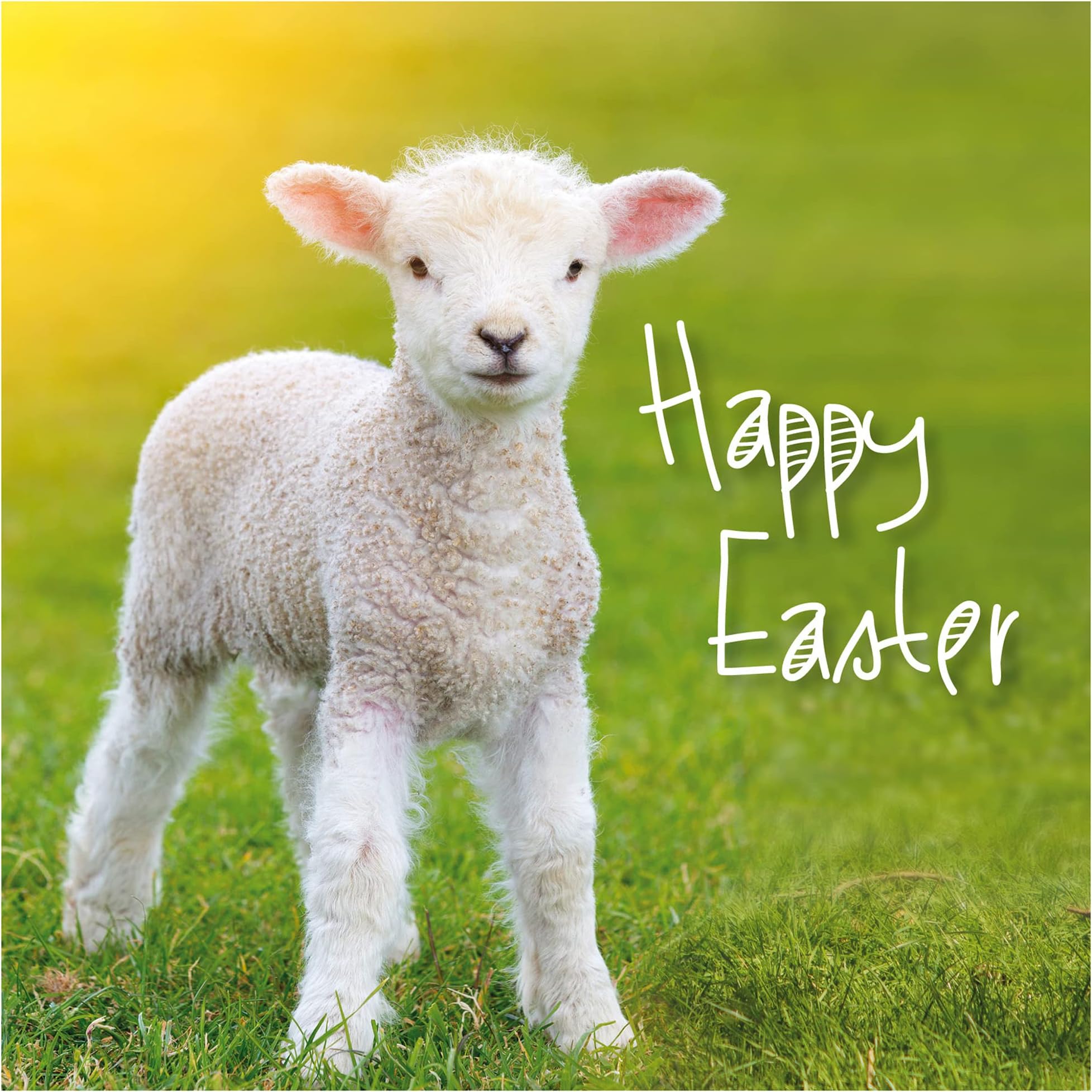 Hallmark Easter Cards - Pack of 5 in 1 Cute Religious Design : Amazon ...