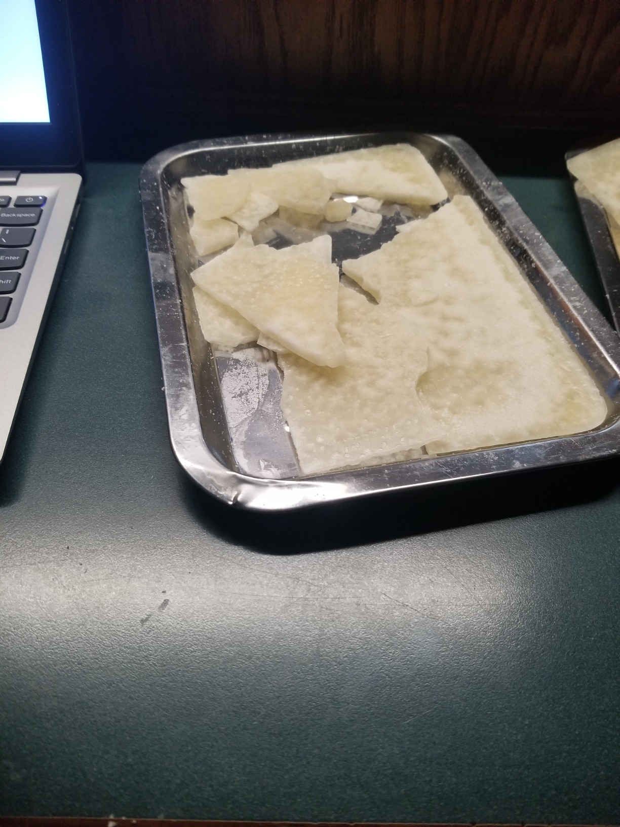 UKCOCO Wax Dissection Tray - Stainless Steel Dissecting Tray Biological ...