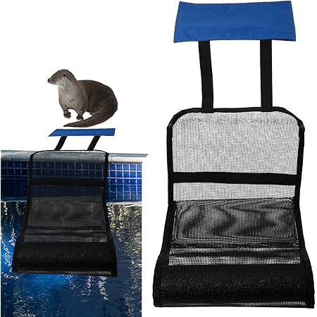 Amazon.com : Critter Clear | Animal Saving Escape Ramp for Pools | Goes ...