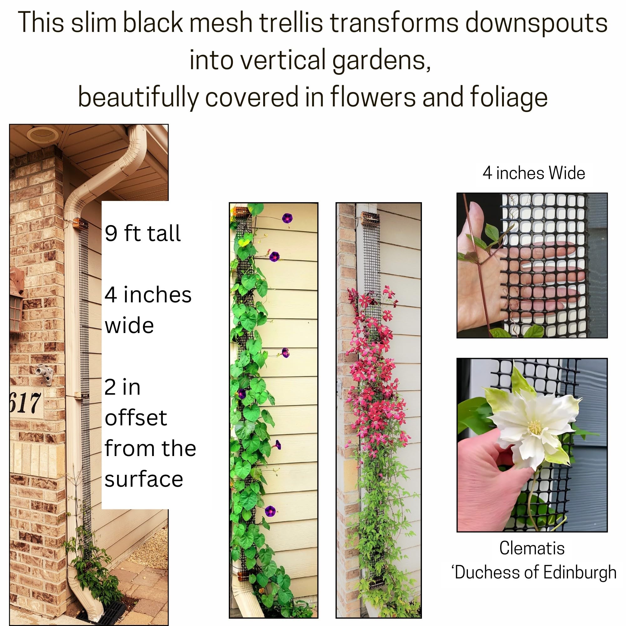 Trellis Rain Gutter Gardening Plant Garden Trellis Downspout Trellis