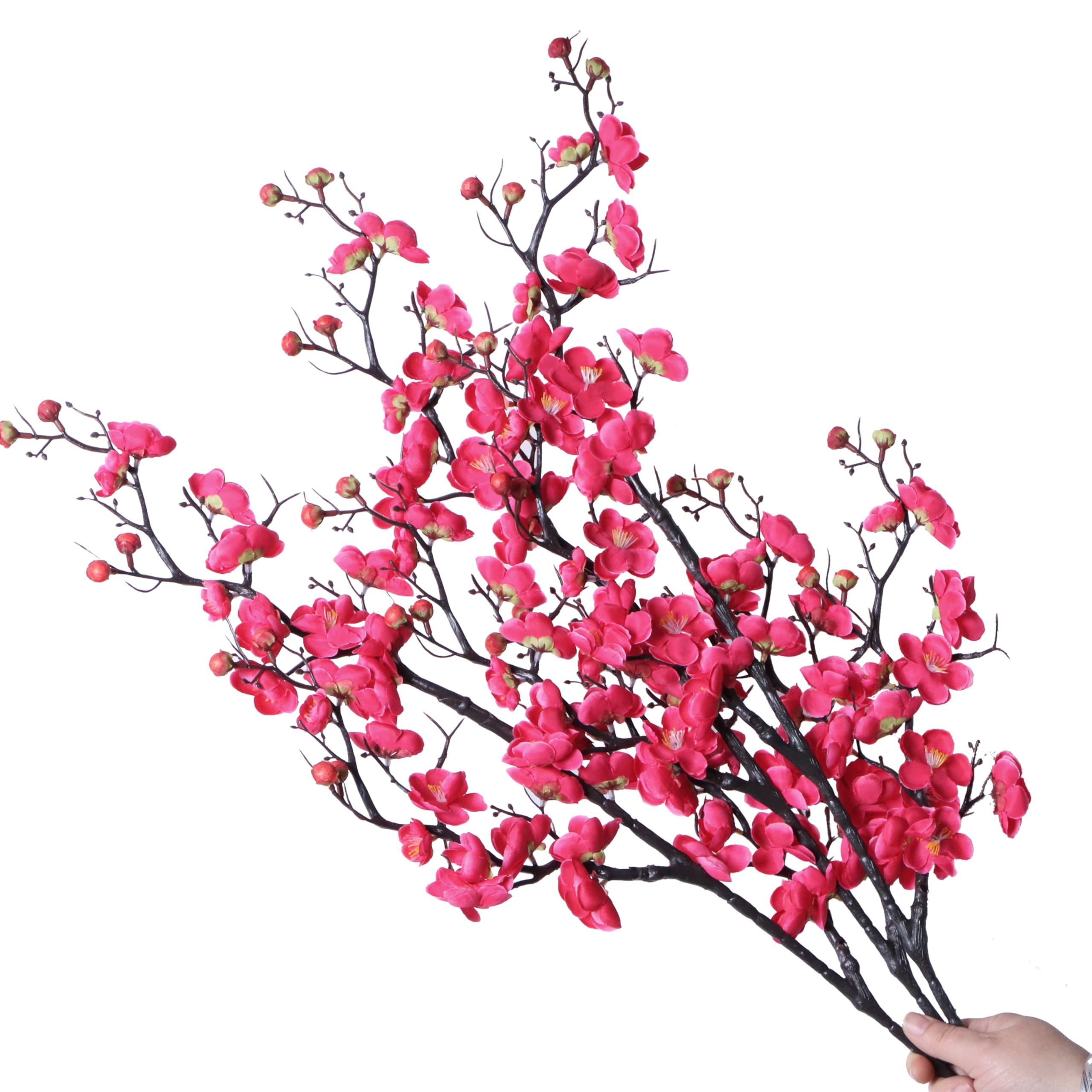 Japanese Cherry Blossom Flower Branch Cherry Blossoms Bloom In Japan's