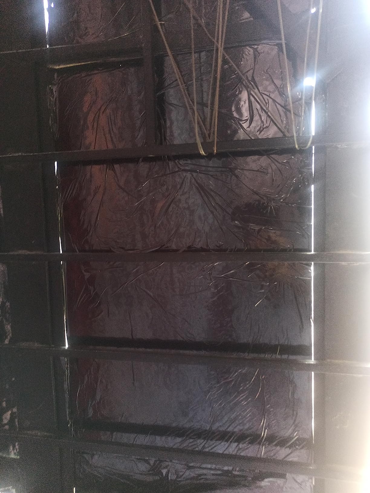 Buy SUNBIRD Car Transparent Colorful Vinyl Window Tinting Sheets Window ...