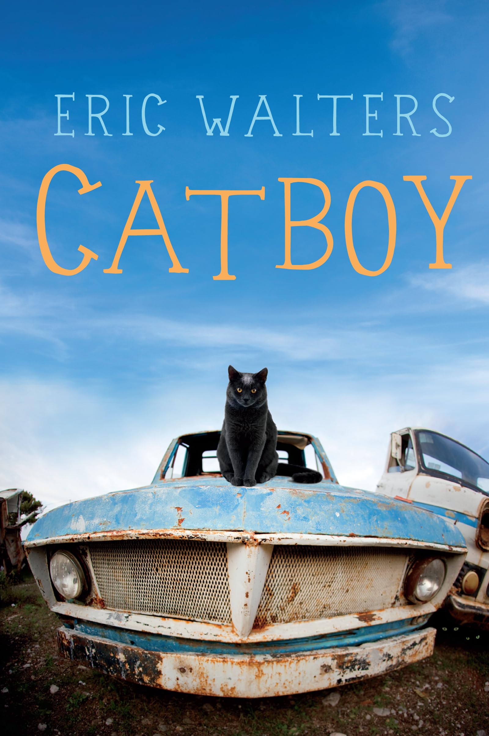 Catboy: Walters, Eric: 9781554699537: Amazon.com: Books