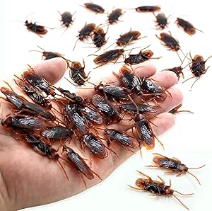 Amazon.com: BEINME Fake Roaches Fake Rubber Cockroach Roach Bug Roaches ...