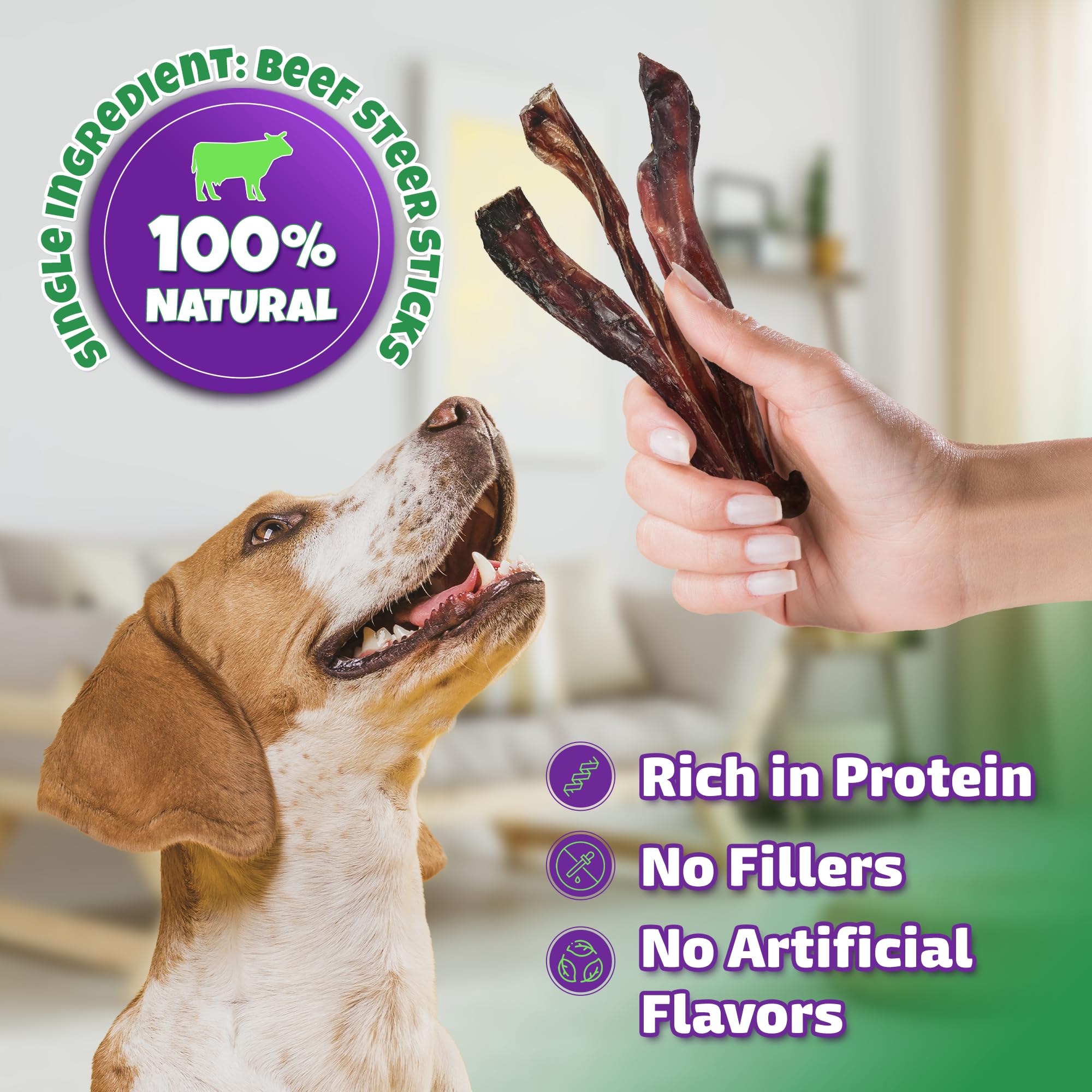 Bully Sticks For Dogs – 6-Inch, 20-Pack, 100% Beef Pizzle Chews, Grass ...