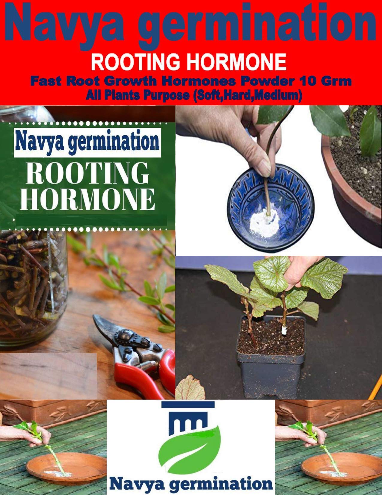 Navya germination Rooting Hormone Combination of Cutting Plants Fast ...