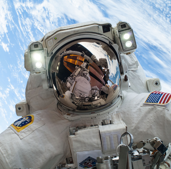 Amazon.com: Tripp Ellis: books, biography, latest update