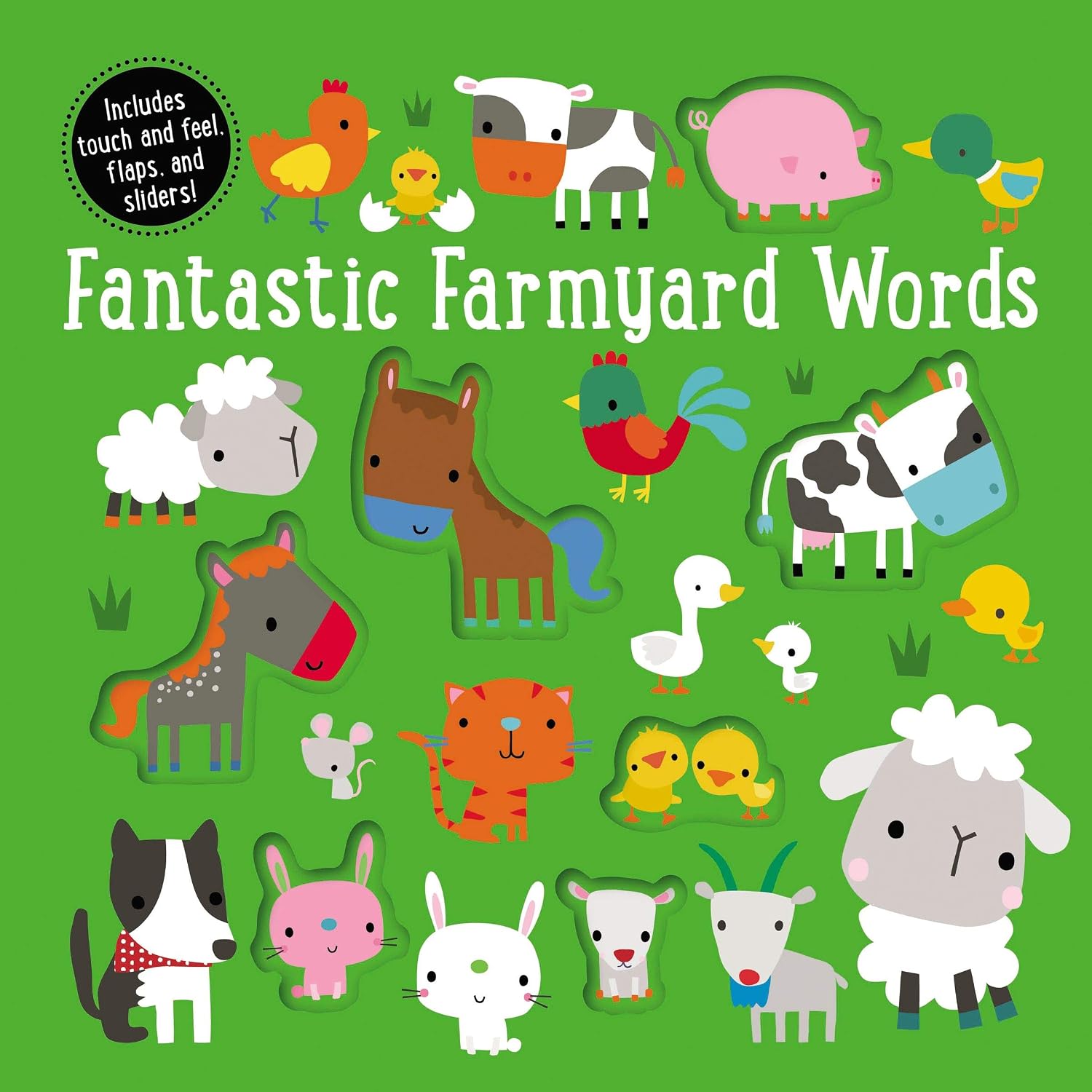 Amazon.com: Fantastic Farmyard Words: 9781786925909: Make Believe Ideas ...