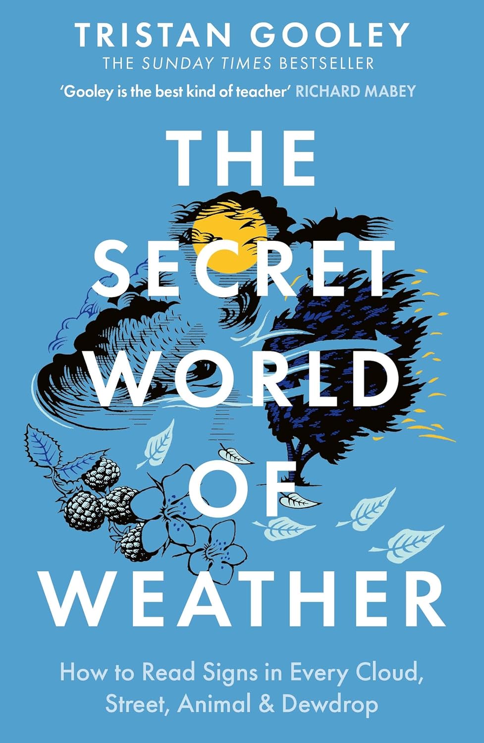 Amazon | The Secret World of Weather: A must-have for all nature lovers ...