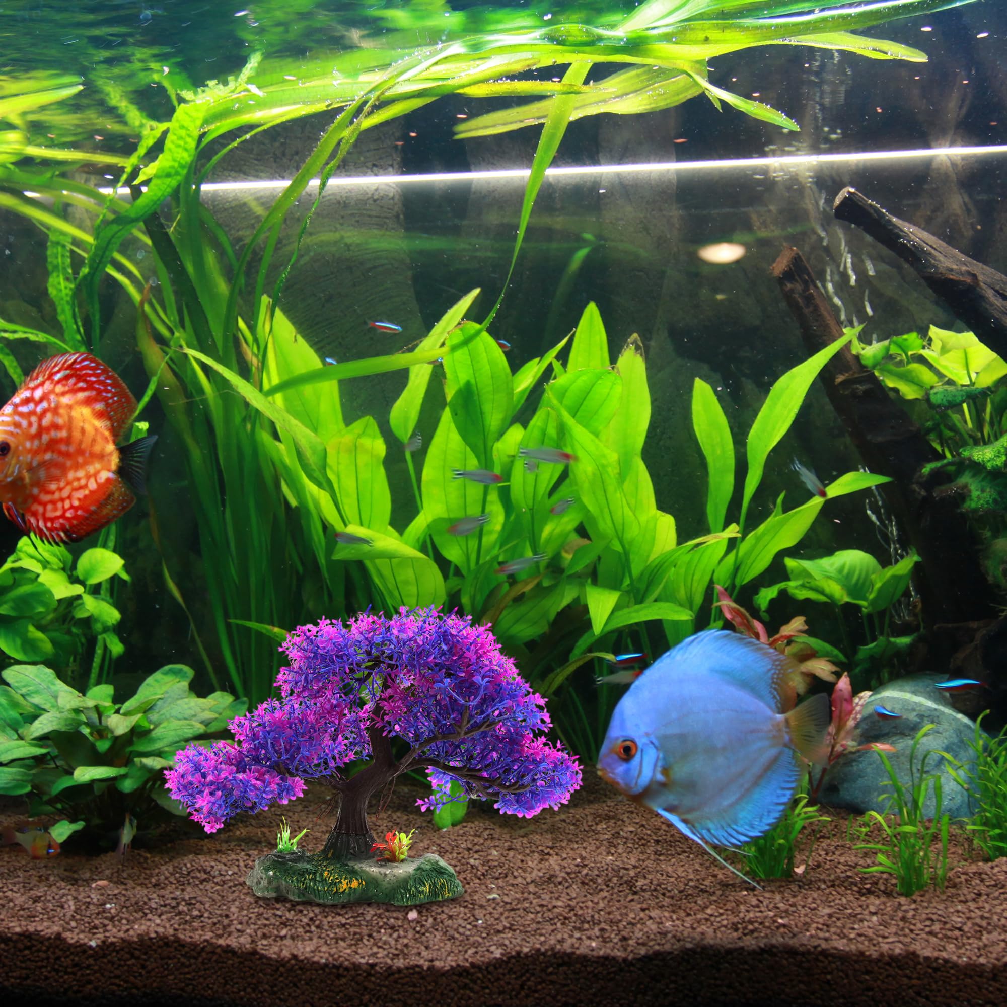 Underwater Trees Aquarium Plants Underwater Landscape Nature Forest