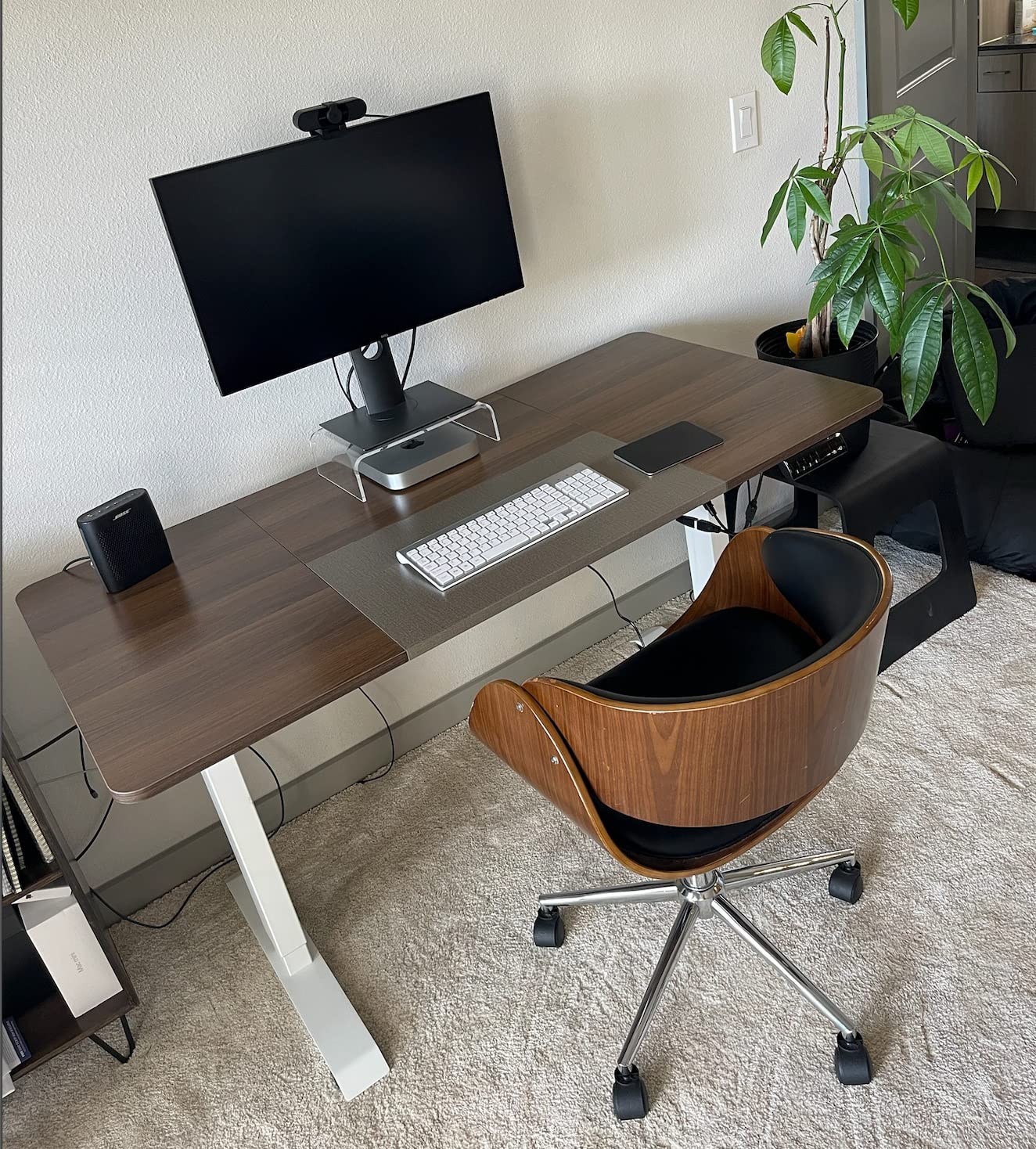 $27/mo - Finance Homall Height Adjustable Electric Standing Desk, 55 x ...