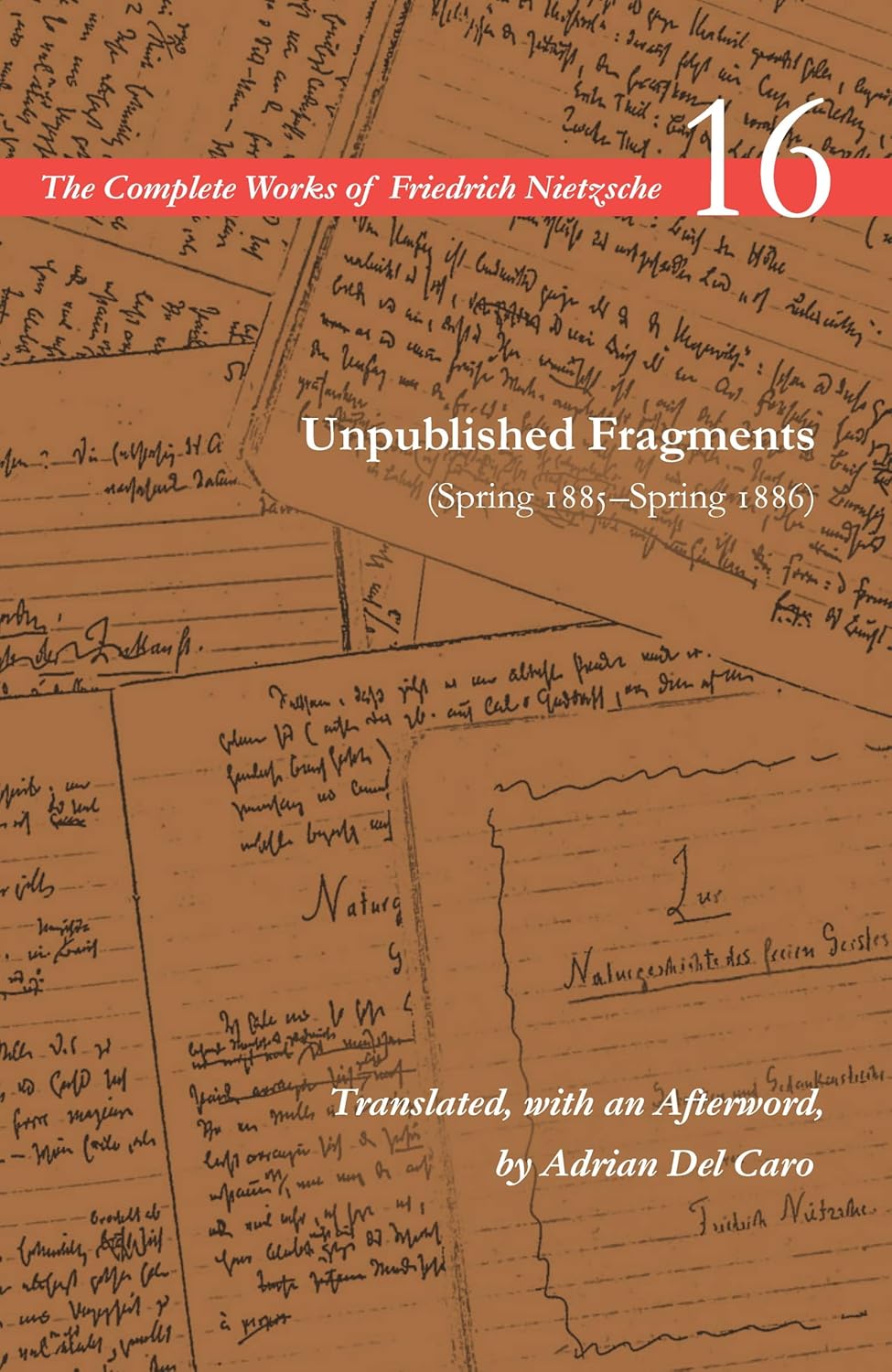 Unpublished Fragments (Spring 1885–Spring 1886): Volume 16 (The ...