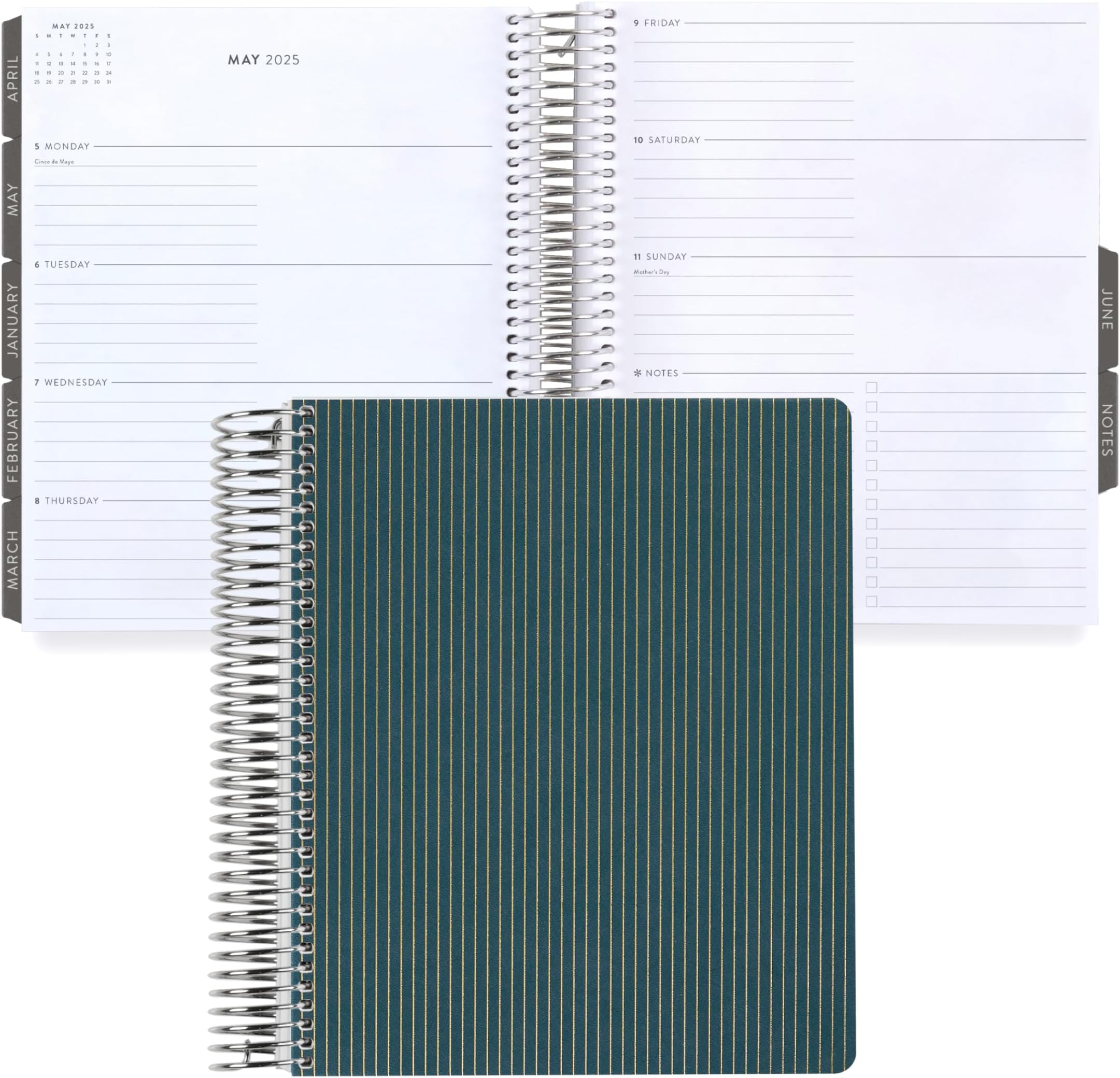 Amazon.com : Erin Condren 7x9 Coiled Focused Academic Planner (August 2024 - July 2025 ...