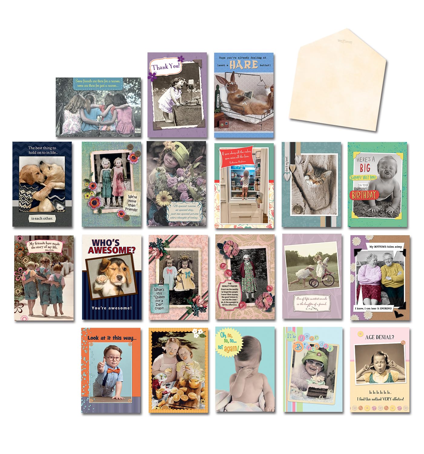 Amazon.com : Leanin' Tree, Scrapbook, Greeting Cards Assortment Box ...