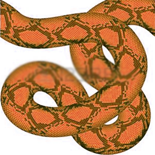 Cheat guide for slither.io:Amazon.com:Appstore for Android