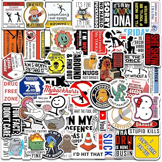 Amazon.com: 150PCS Funny Stickers for Adults, Prank Meme (Dirty ...