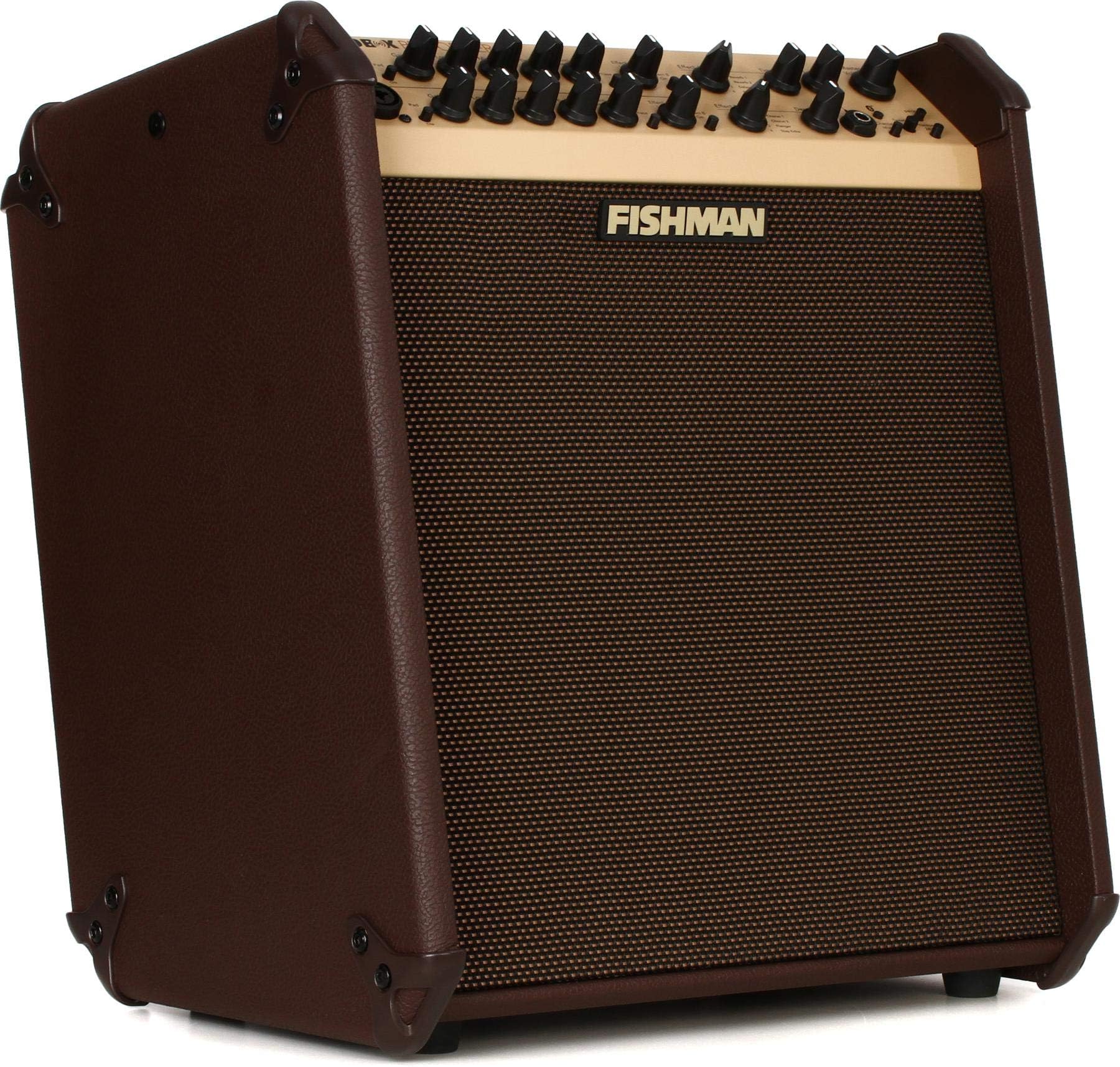 Amazon.com: Fishman Loudbox Mini 60W Acoustic Instrument Amplifier ...