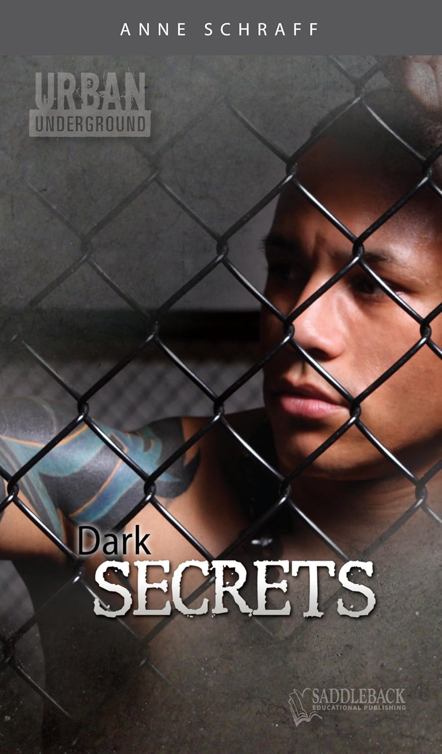 Dark Secrets (Urban Underground) - Kindle edition by Schraff, Anne ...