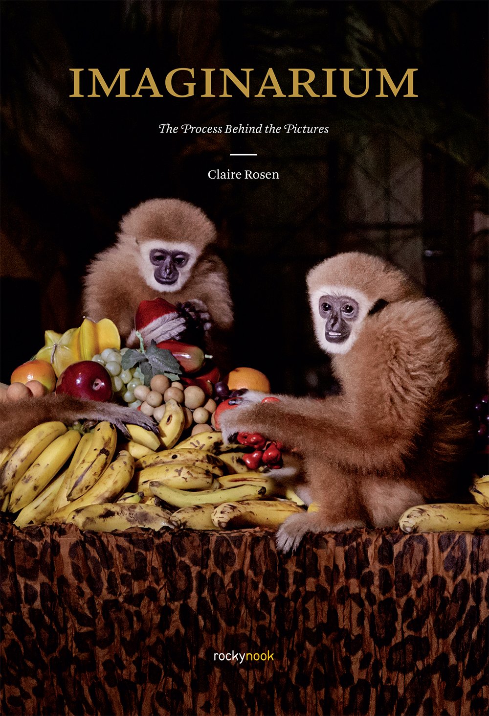Amazon.com: Imaginarium: The Process Behind the Pictures eBook : Rosen ...