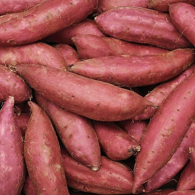 Amazon | 【MSKSHOP】さつまいも 紅はるか A品 Mサイズ 使いやすい 千葉 茨城県産 しっとり焼芋 美容 健康 ダイエット 選べるサイズ (10kg) | MSKSHOP ...