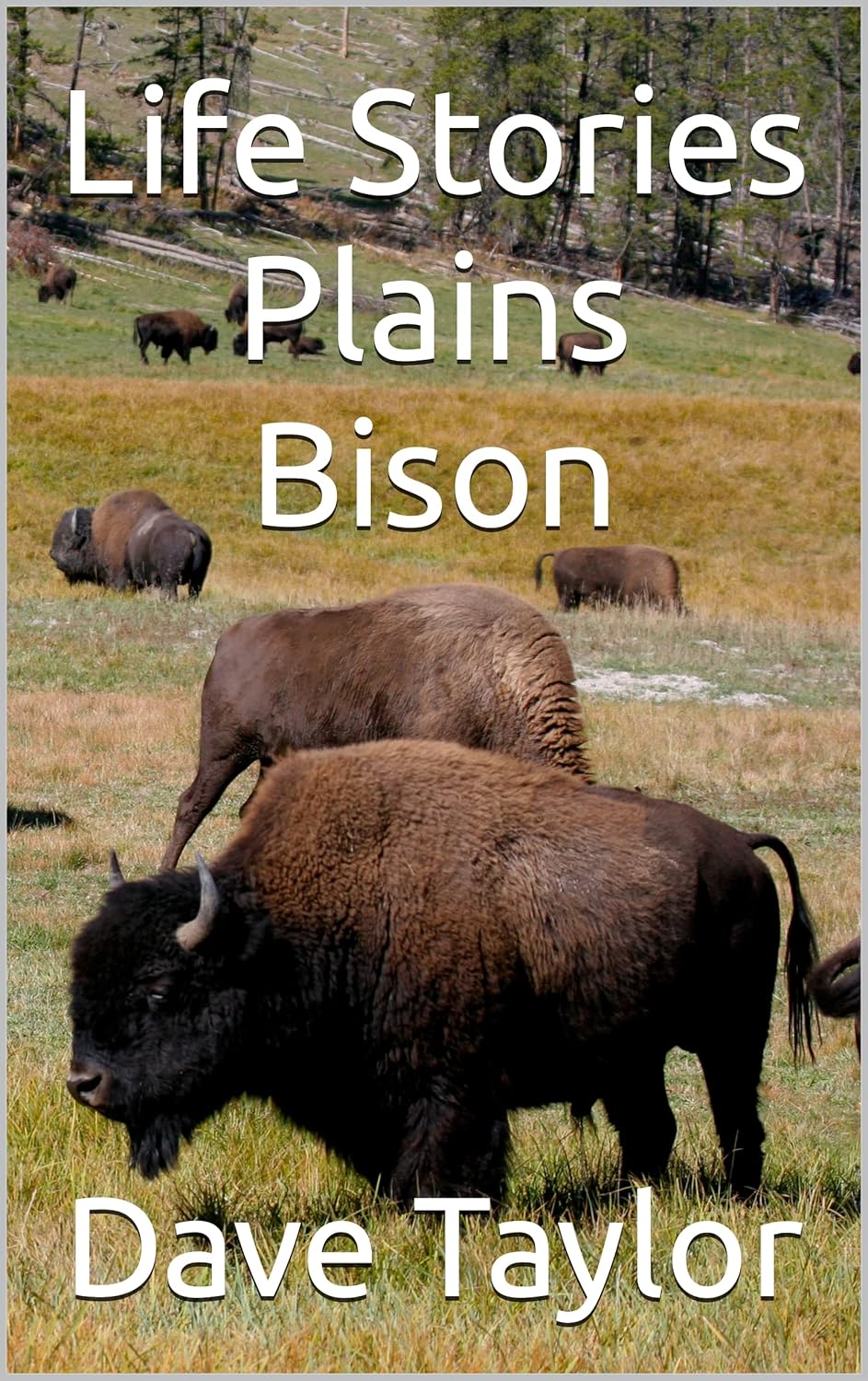 Amazon.com: Life Stories Plains Bison (Life Stories Ecosystems Book 1 ...