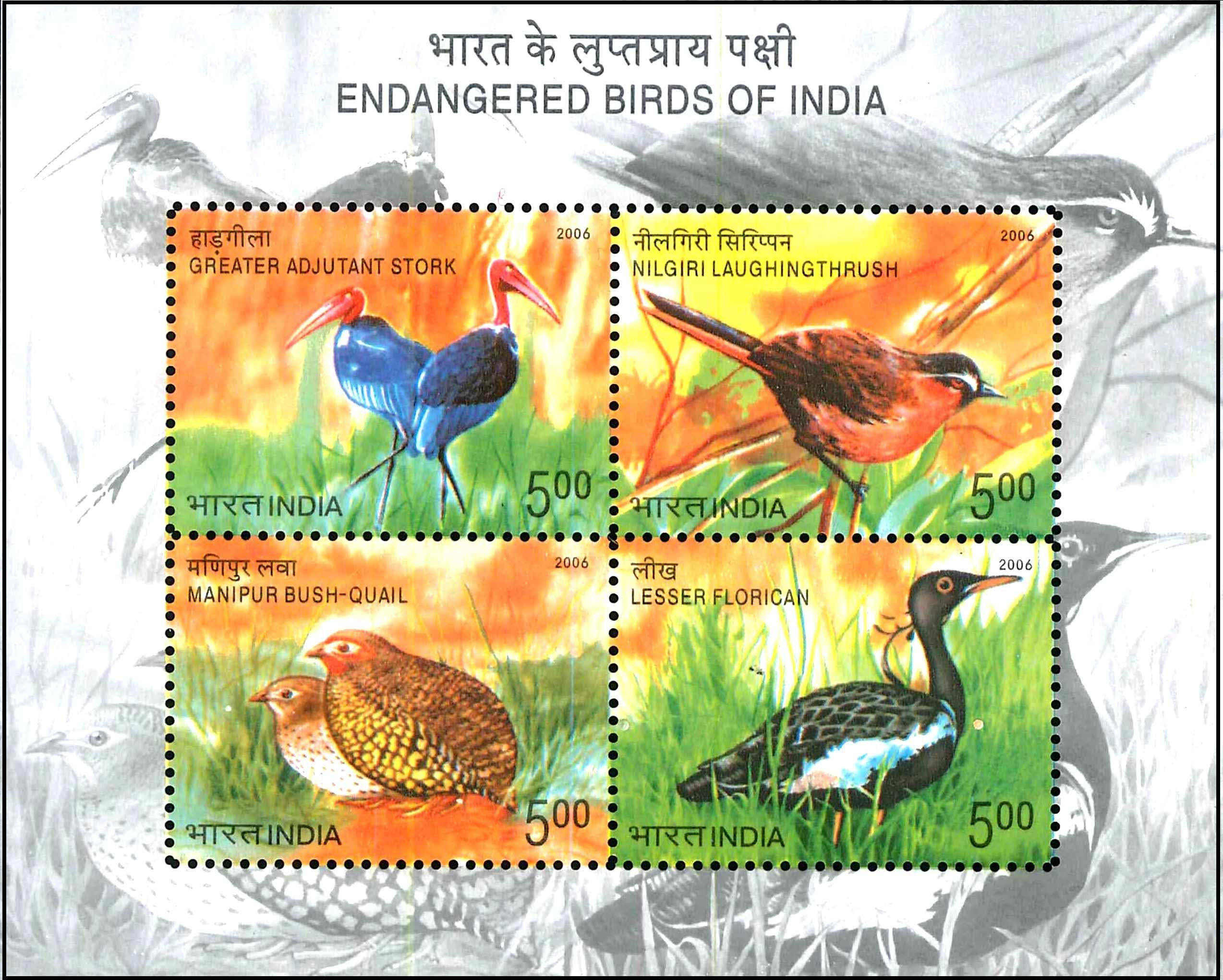 Buy Aranyak Hobby Indian Miniature Sheets 2006 Endangered Birds of ...