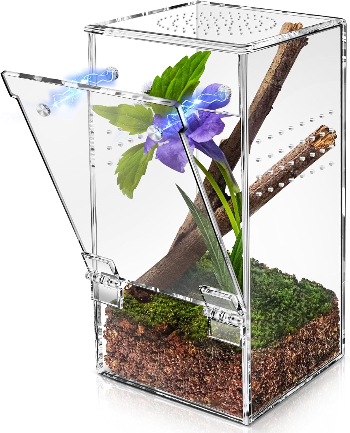 Jumping Spider-Enclosure 3x3x6 Inch Mini Tarantula-Enclosure, Small ...