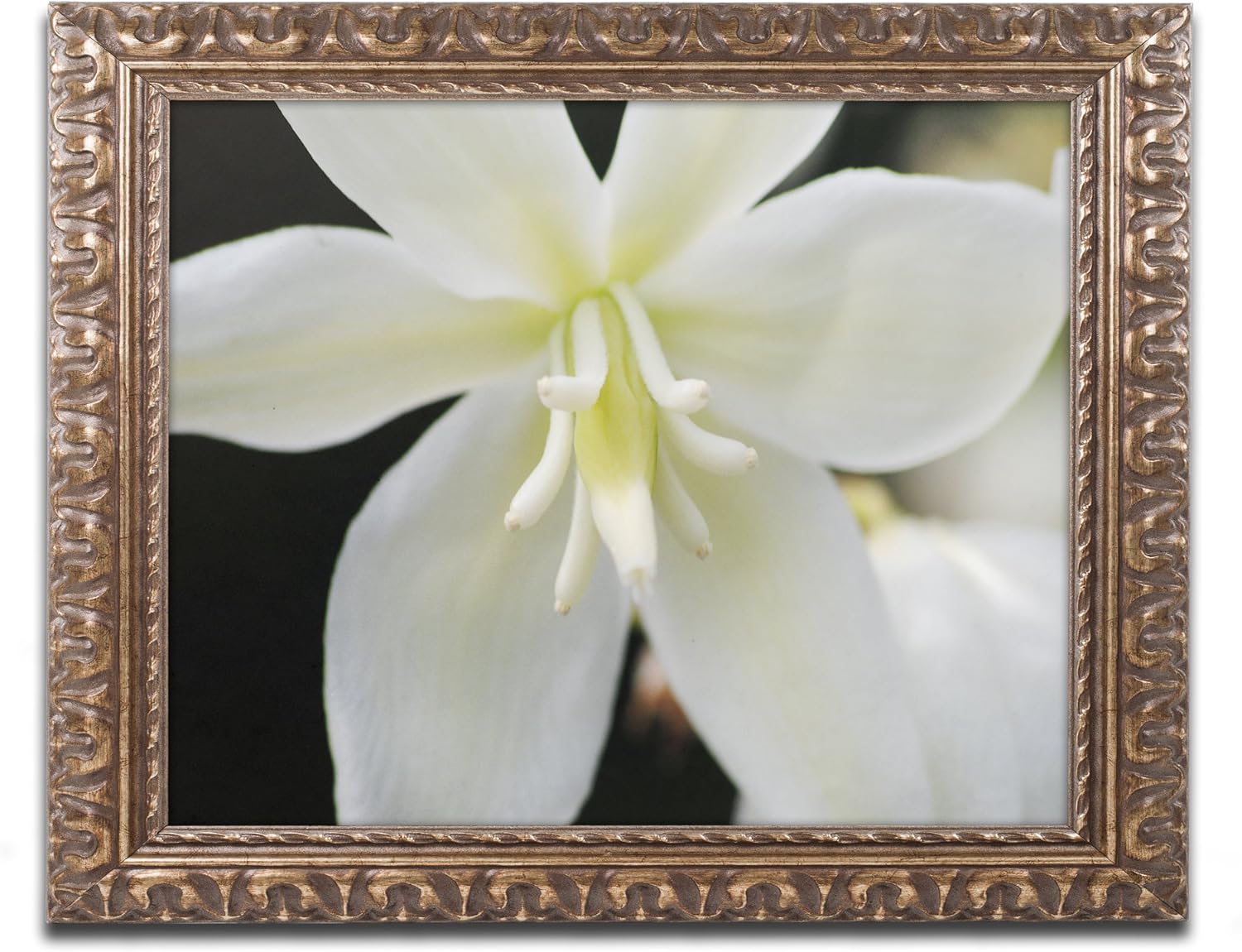 Amazon.com: Hope by Monica Mize Ornate Frame, 16" x 20", Gold Ornate ...