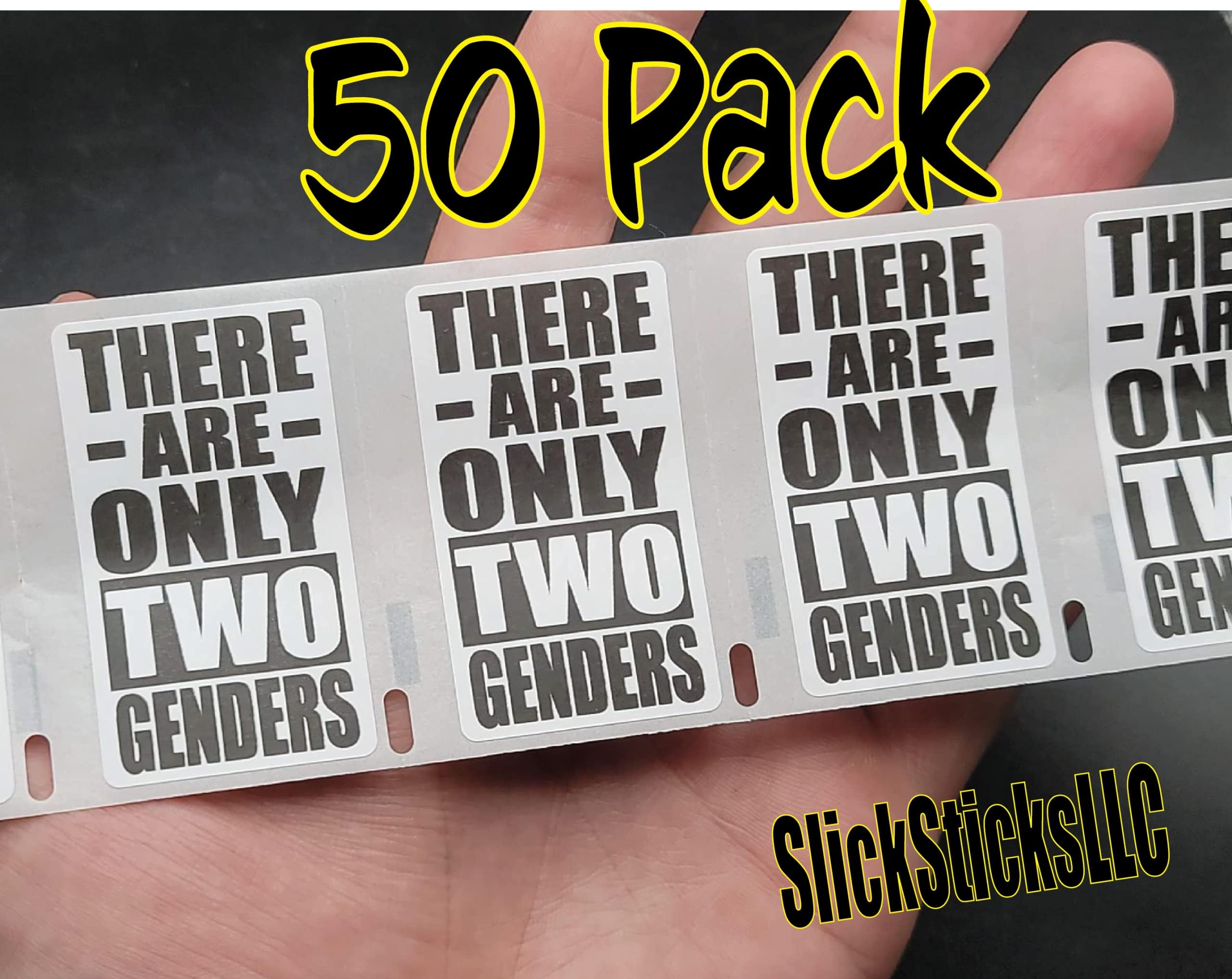 Amazon.com - Seek There are 2 Genders Decal CAR Truck Window Sticker ...