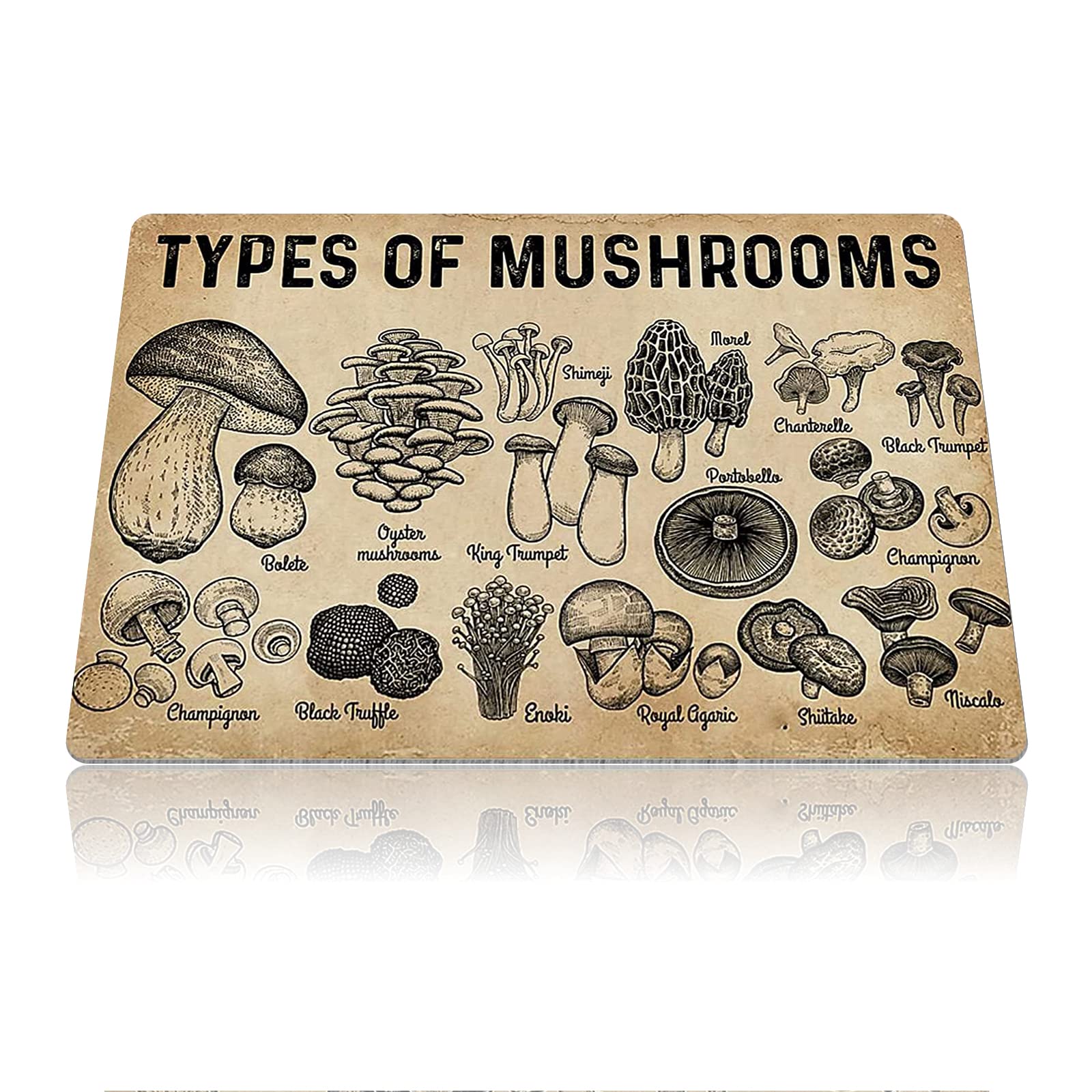 Amazon.com: JIUFOTK Types of Mushrooms Metal Signs Kids Science ...