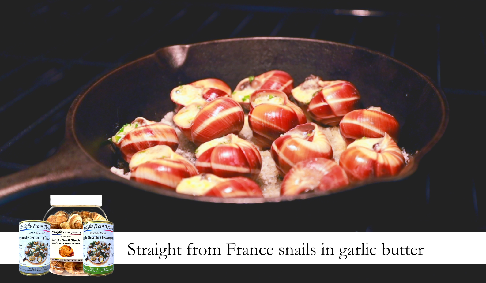 Snapklik.com : Straight From France French Helix Pomatia Wild Burgundy ...