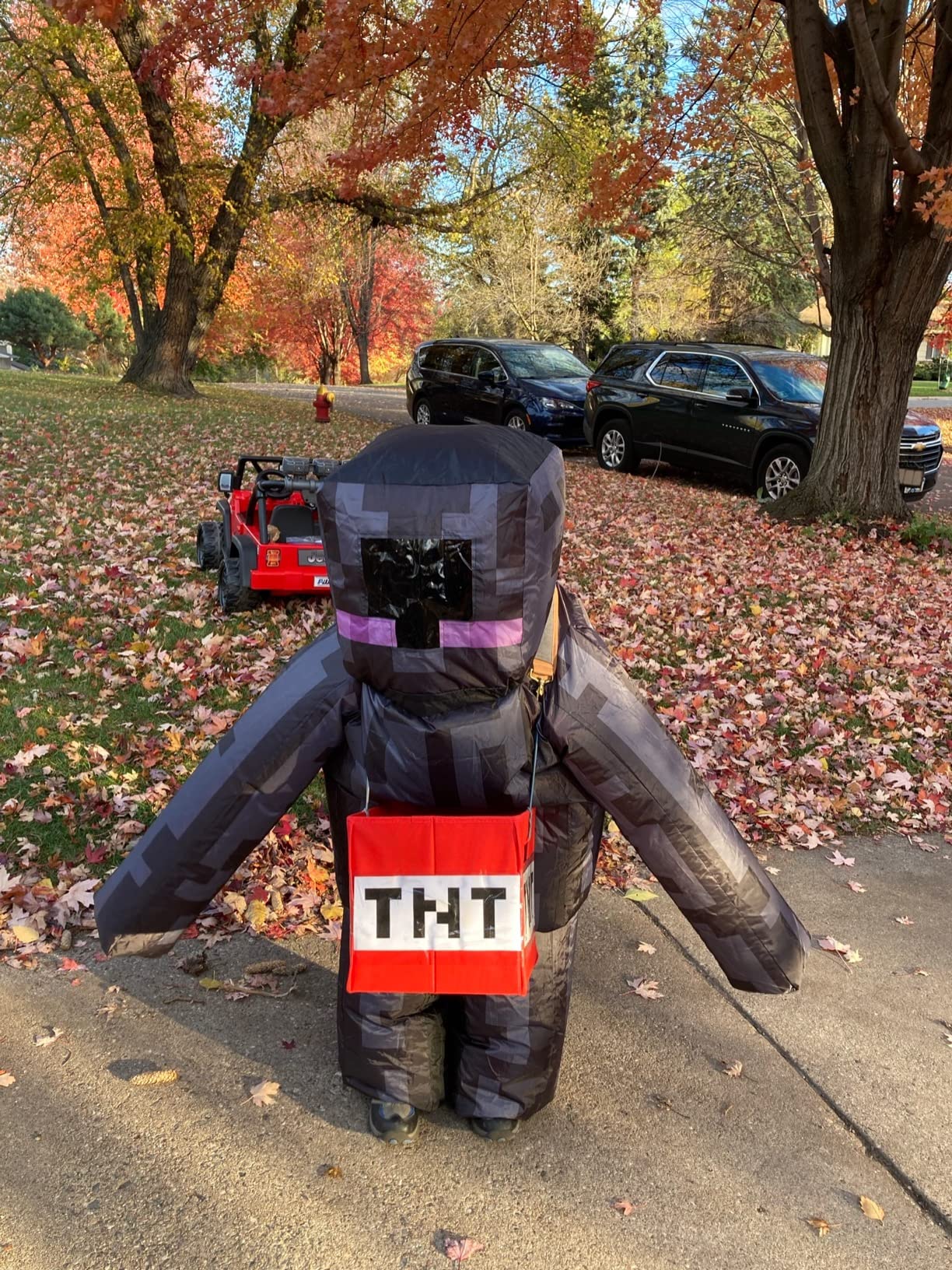 $11/mo - Finance Enderman Costume, Inflatable Minecraft Costumes for ...