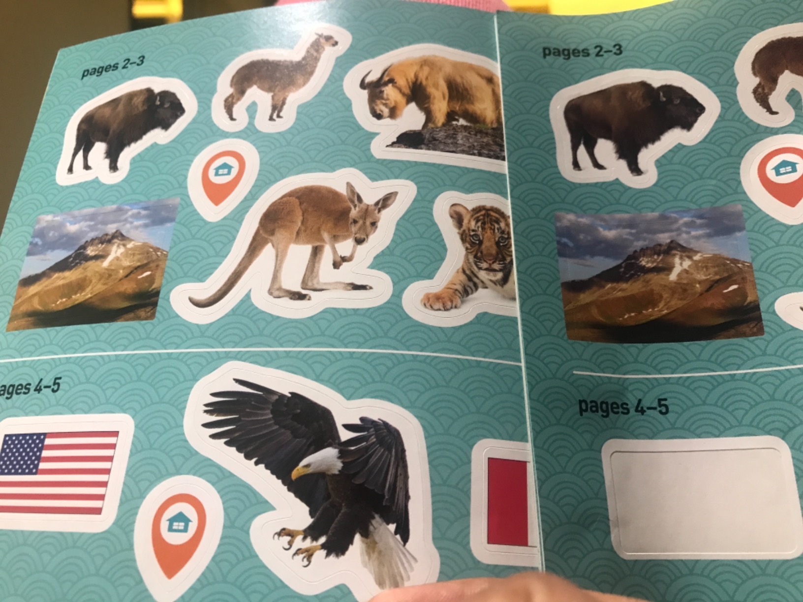 World Atlas Sticker Activity Book : National Geographic Kids: Amazon.in ...