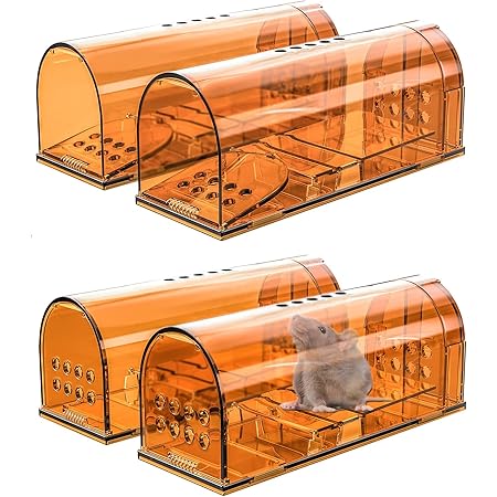 Amazon.com : Kat Sense Humane Traps, No Kill Mouse Traps, Catch and ...