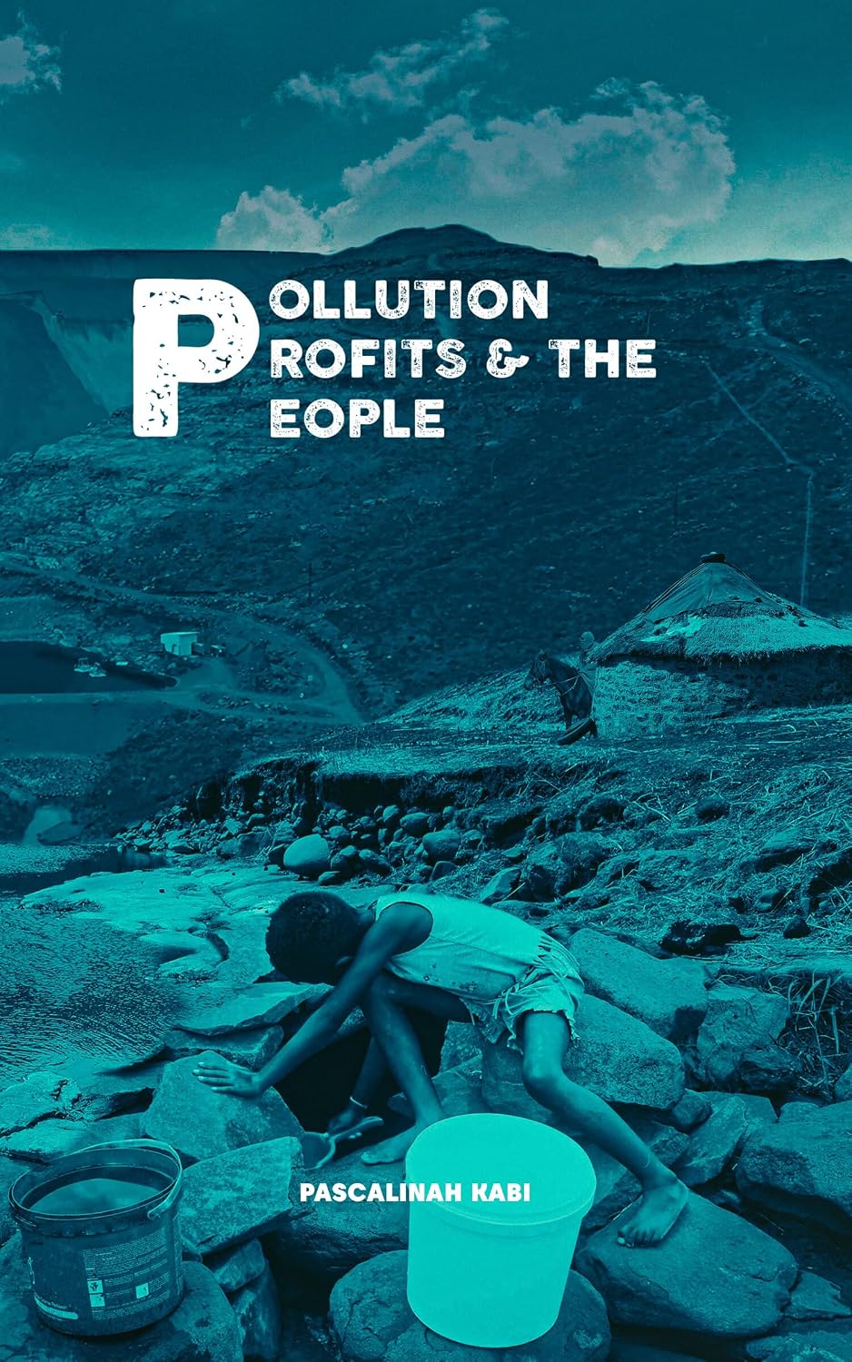 Amazon.com: Pollution, Profits and the People eBook : Kabi , Pascalinah ...