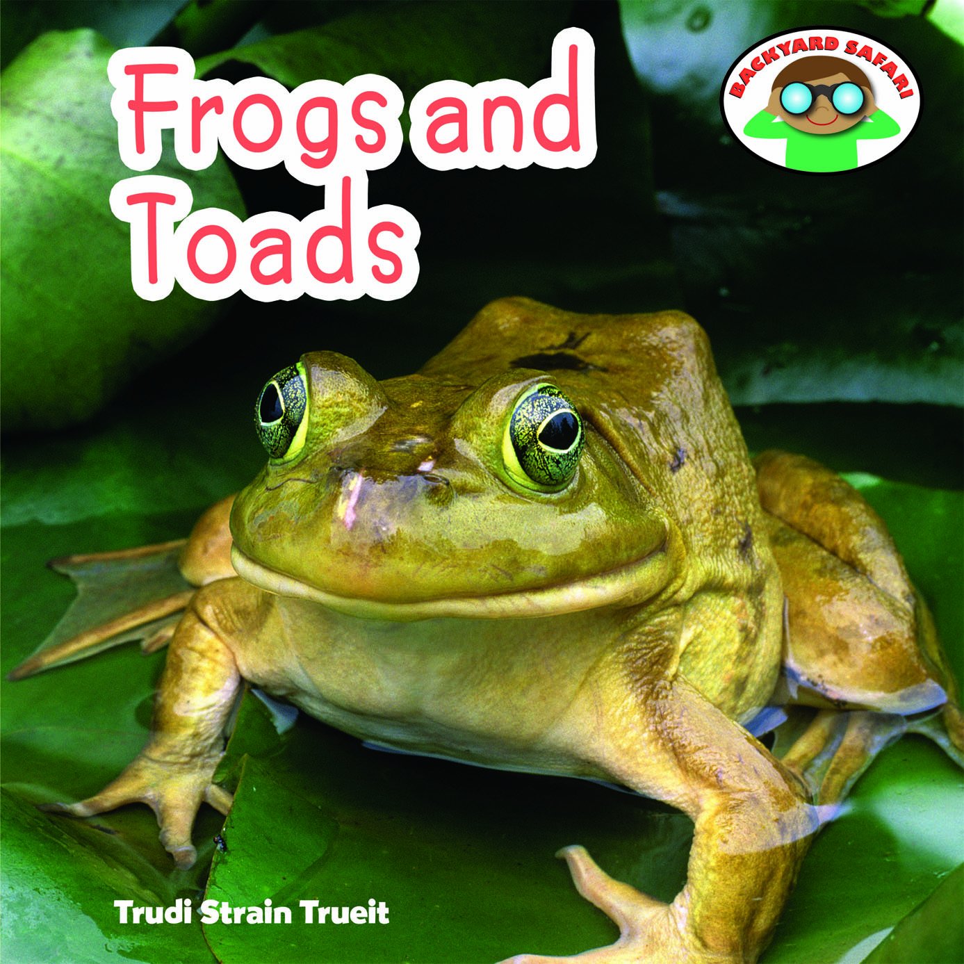Amazon | Frogs and Toads (Backyard Safari) | Trueit, Trudi Strain | Rabbits