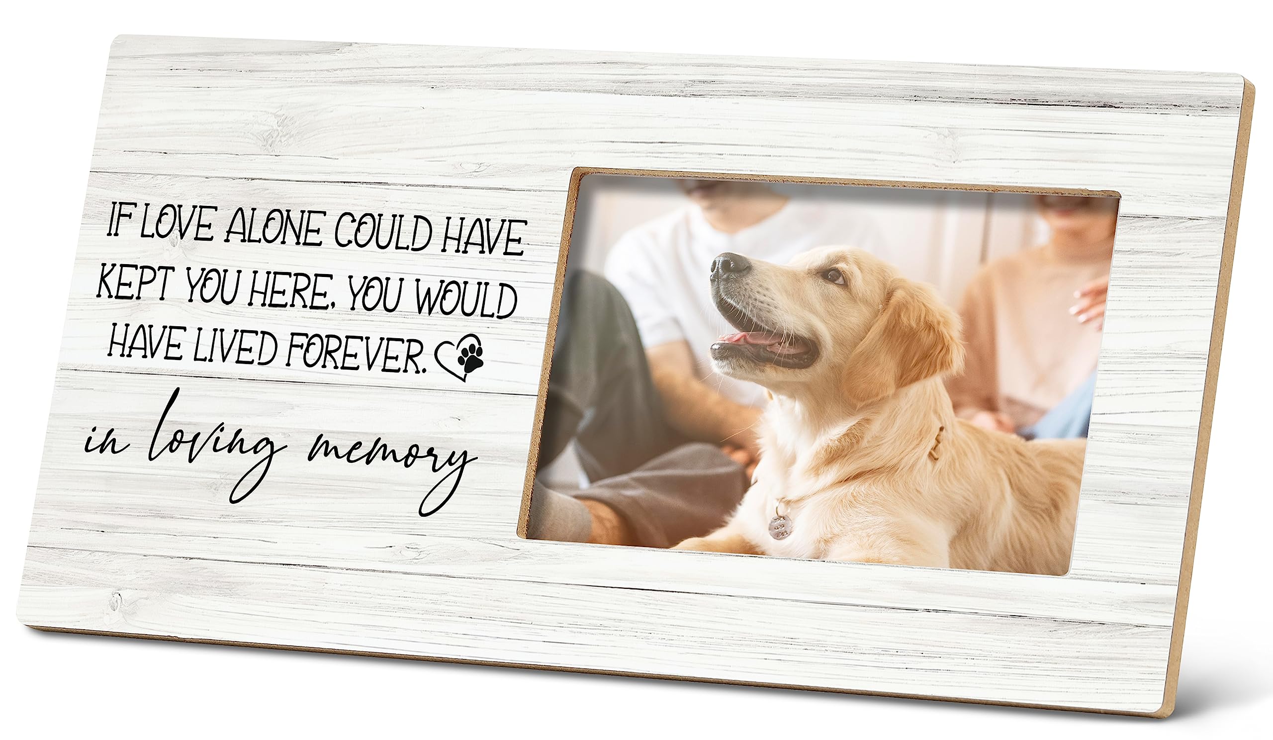 Amazon.com: SRADMO In Loving Memory of Pet Picture Frame,Pet Dog Cat ...