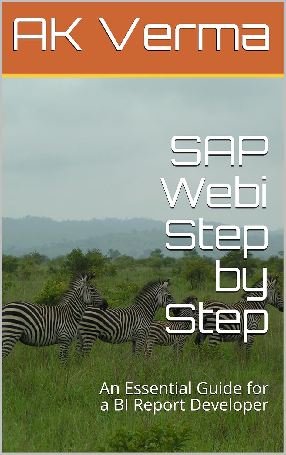 Amazon.com: SAP Webi Step by Step: An Essential Guide for a BI Report ...
