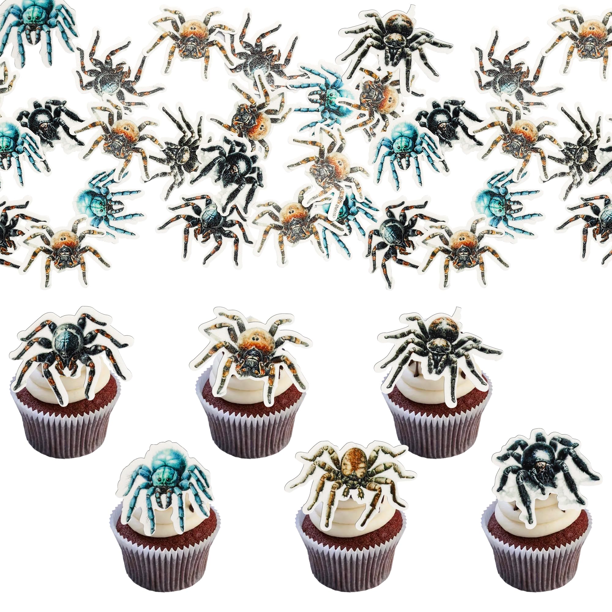 Amazon.com: Gyufise 60Pcs Edible Wafer Paper Halloween Spider Cupcake ...