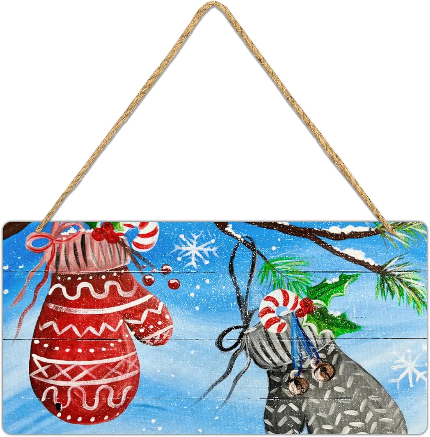 Amazon.com: Winter Mitten Blue Front Door Sign, Red Holly Berries Plaid ...