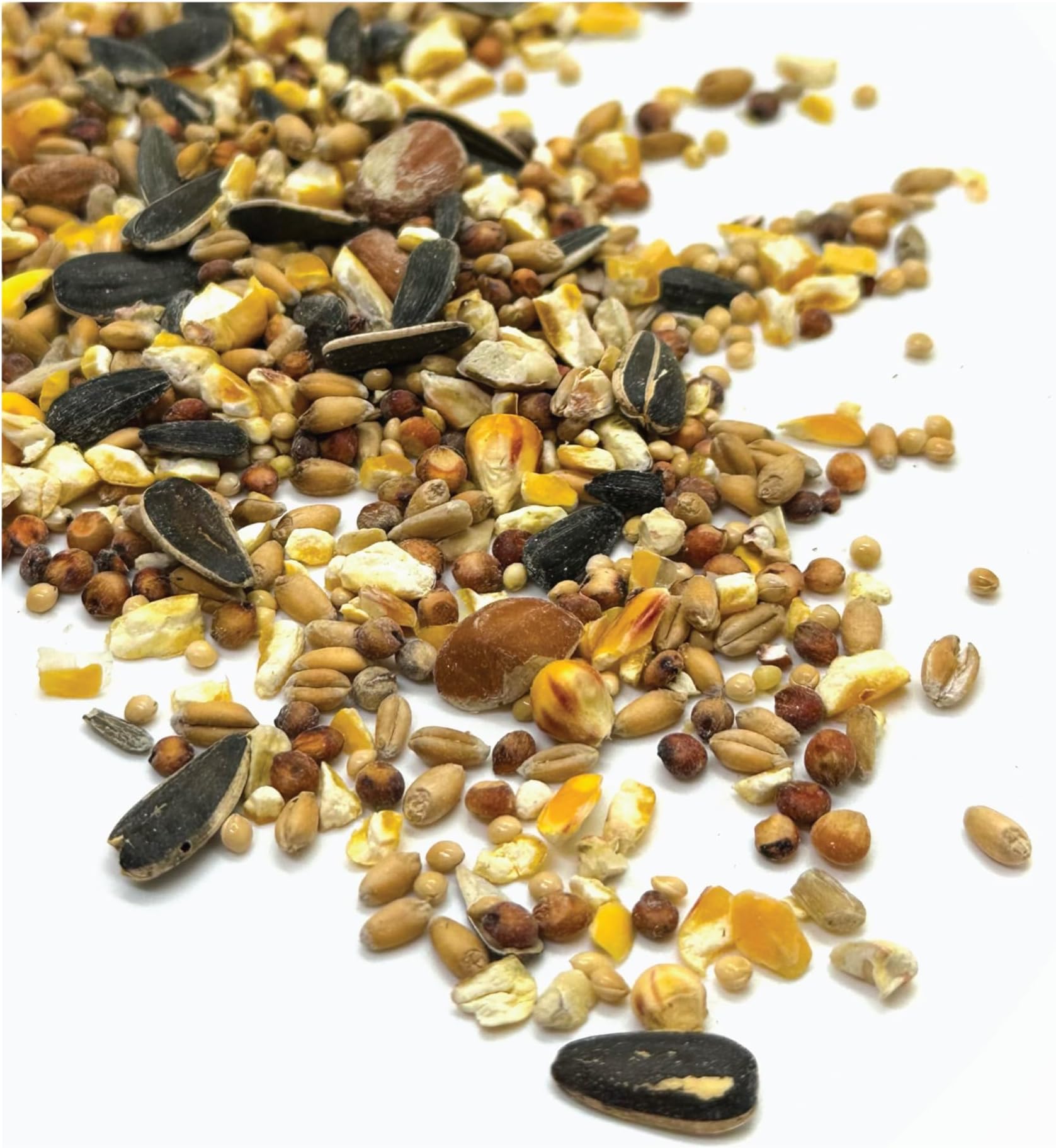 For Everybirdy Gourmet Wild Bird Food Blend, Wild Bird Seed Mix with ...