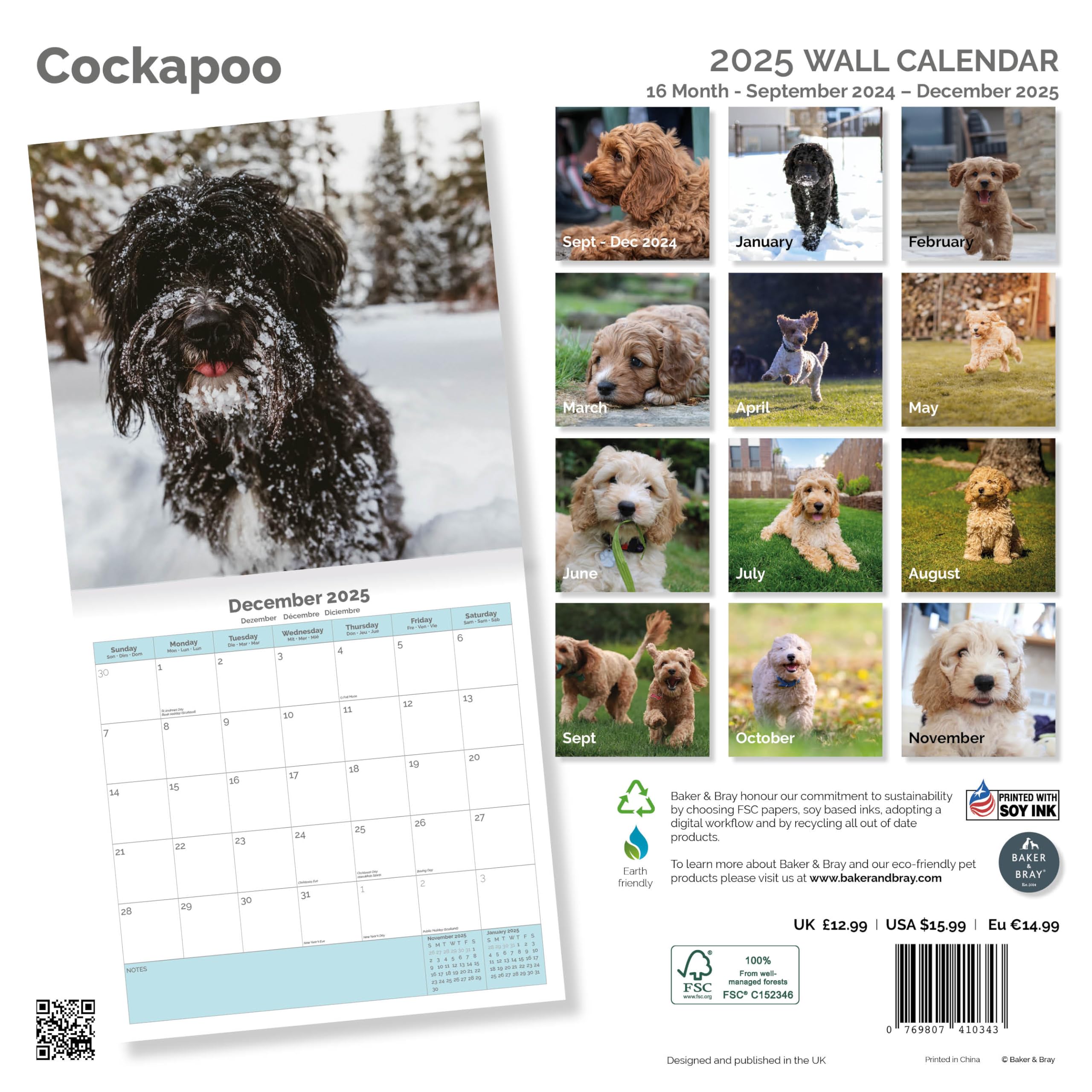 Baker and Bray Cockapoo Calendar 2025, Large Square Wall Calendar, 16 ...