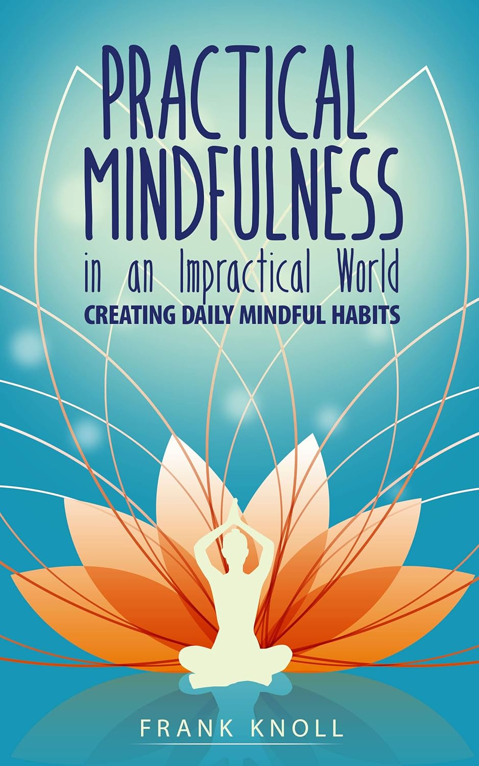 Practical Mindfulness in an Impractical World: Creating Daily Mindful ...