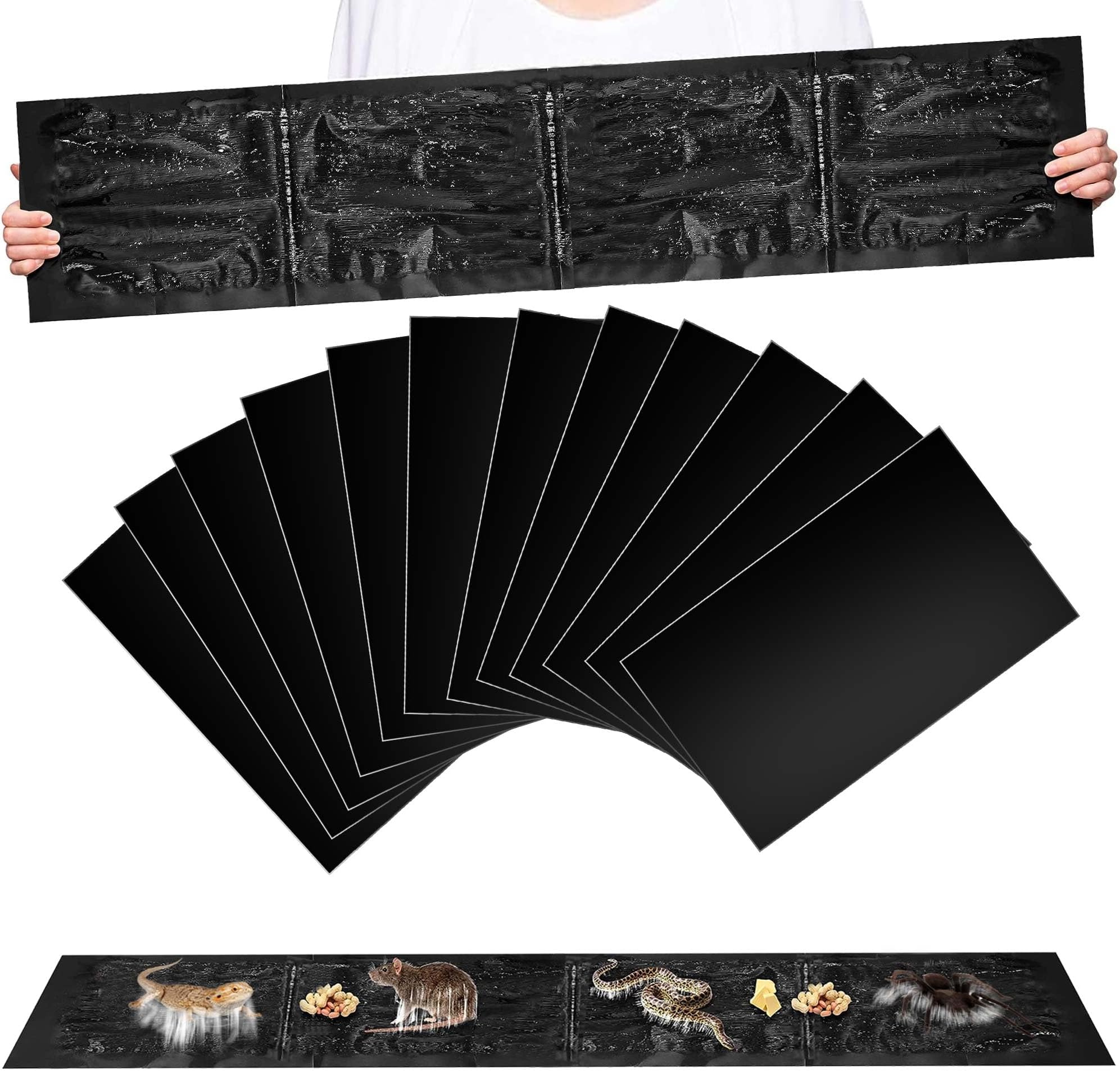 Amazon.com : 12 Pack Extra Large Glue Traps for Mice and Rats, Heavy ...