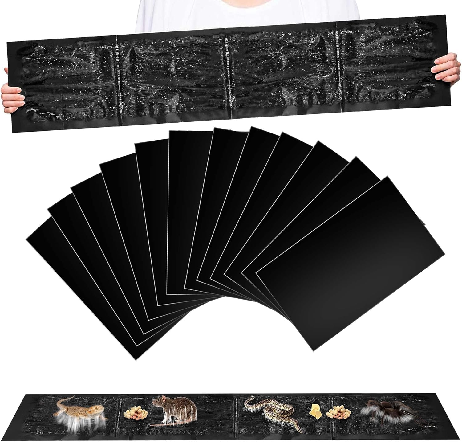 Amazon.com : 12 Pack Extra Large Glue Traps for Mice and Rats, Heavy ...