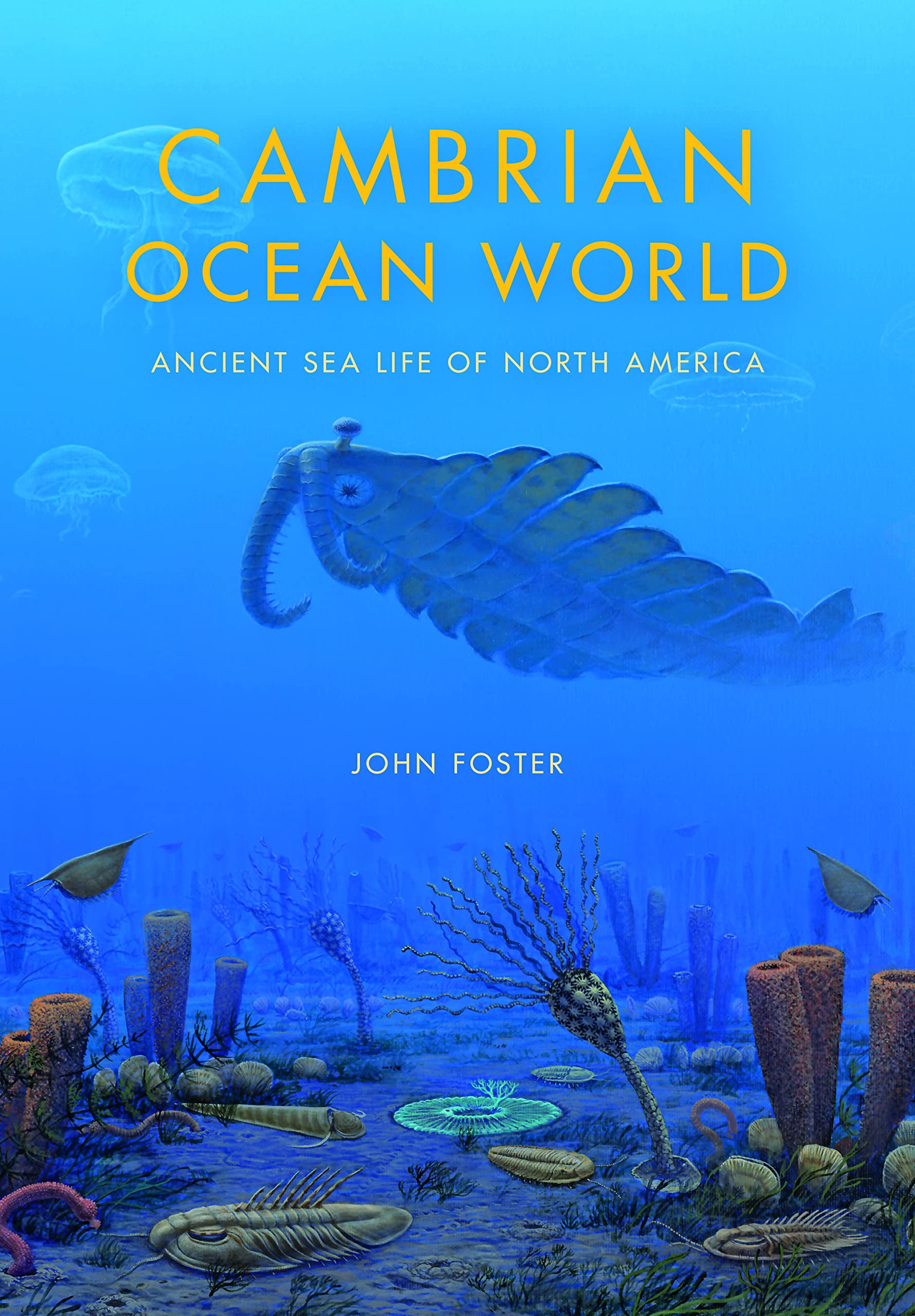 Cambrian Ocean World: Ancient Sea Life of North America (Life of the ...