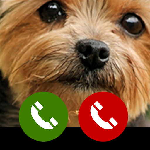Fake call from Yorkie puppies - App on Amazon Appstore