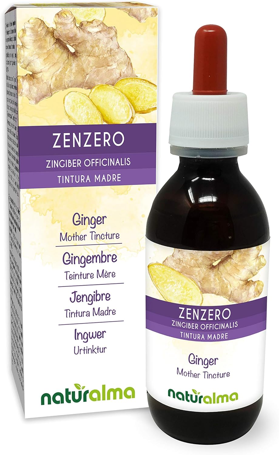 Ginger (Zingiber officinalis) rhizomes Alcohol-Free Mother Tincture ...